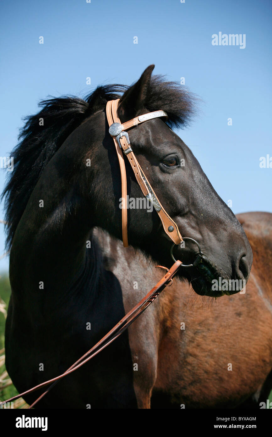 14065 hi-res stock photography and images - Alamy