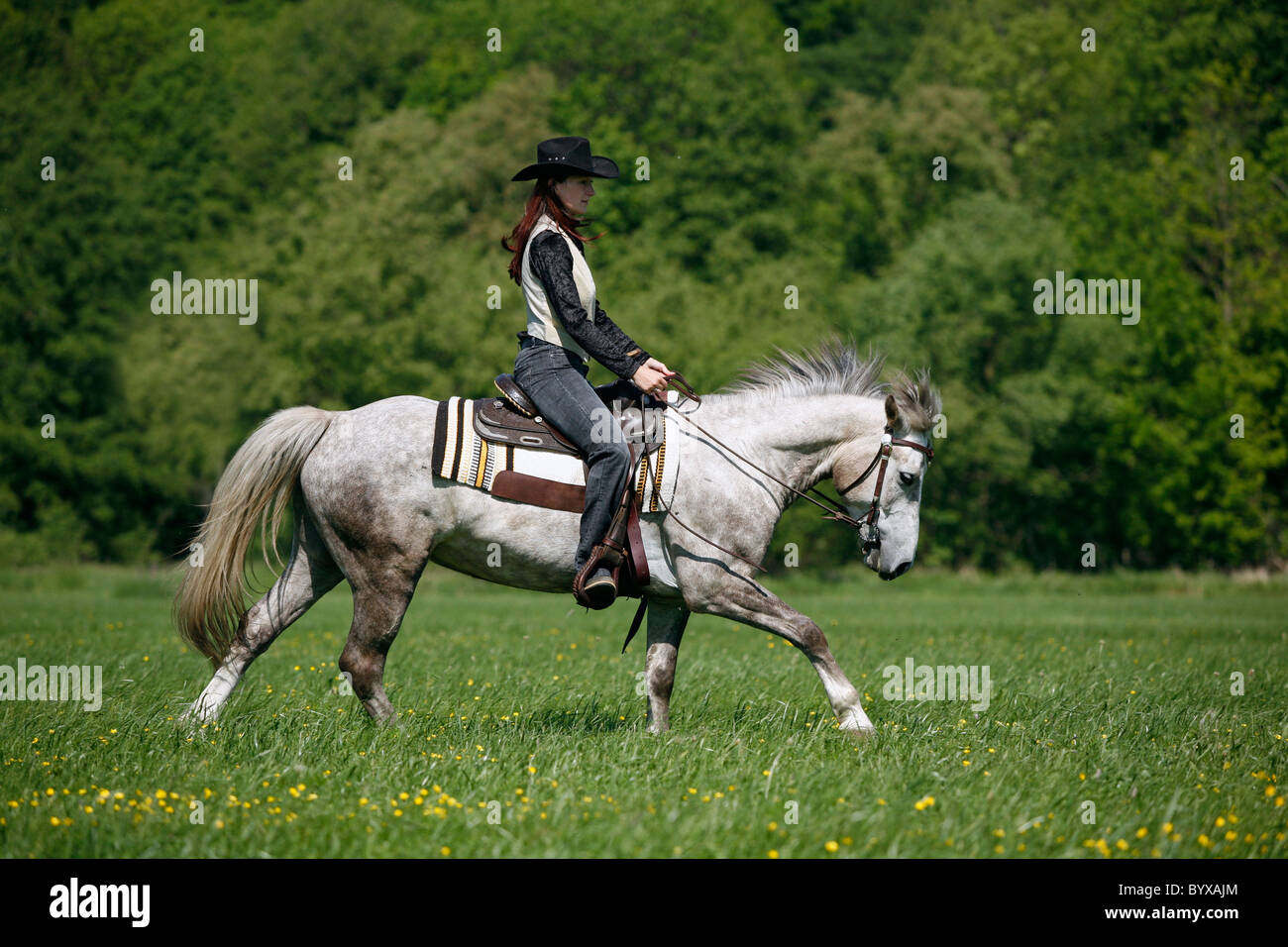 Westernreiter / western rider Stock Photo - Alamy