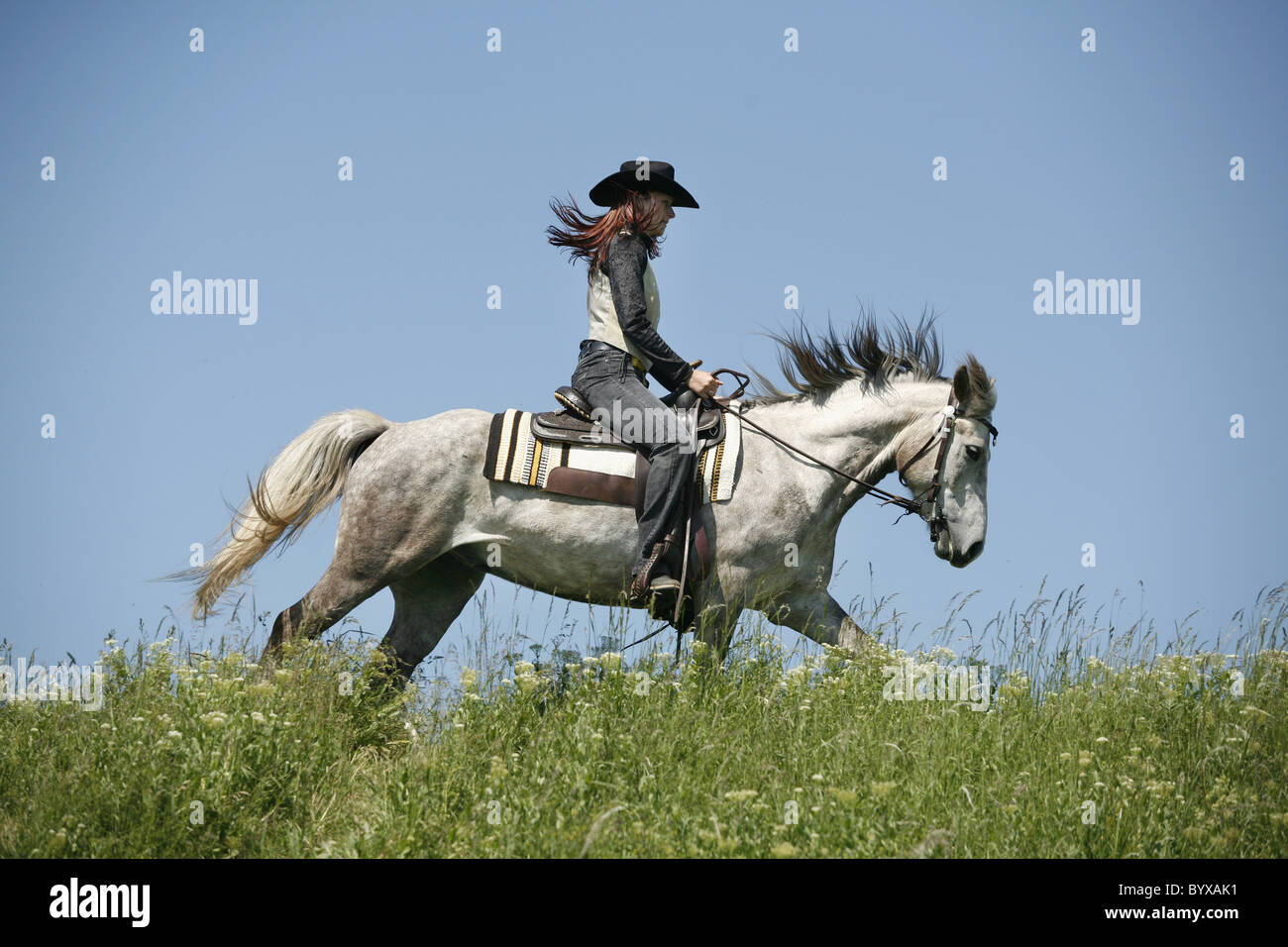 Westernreiter / western rider Stock Photo - Alamy