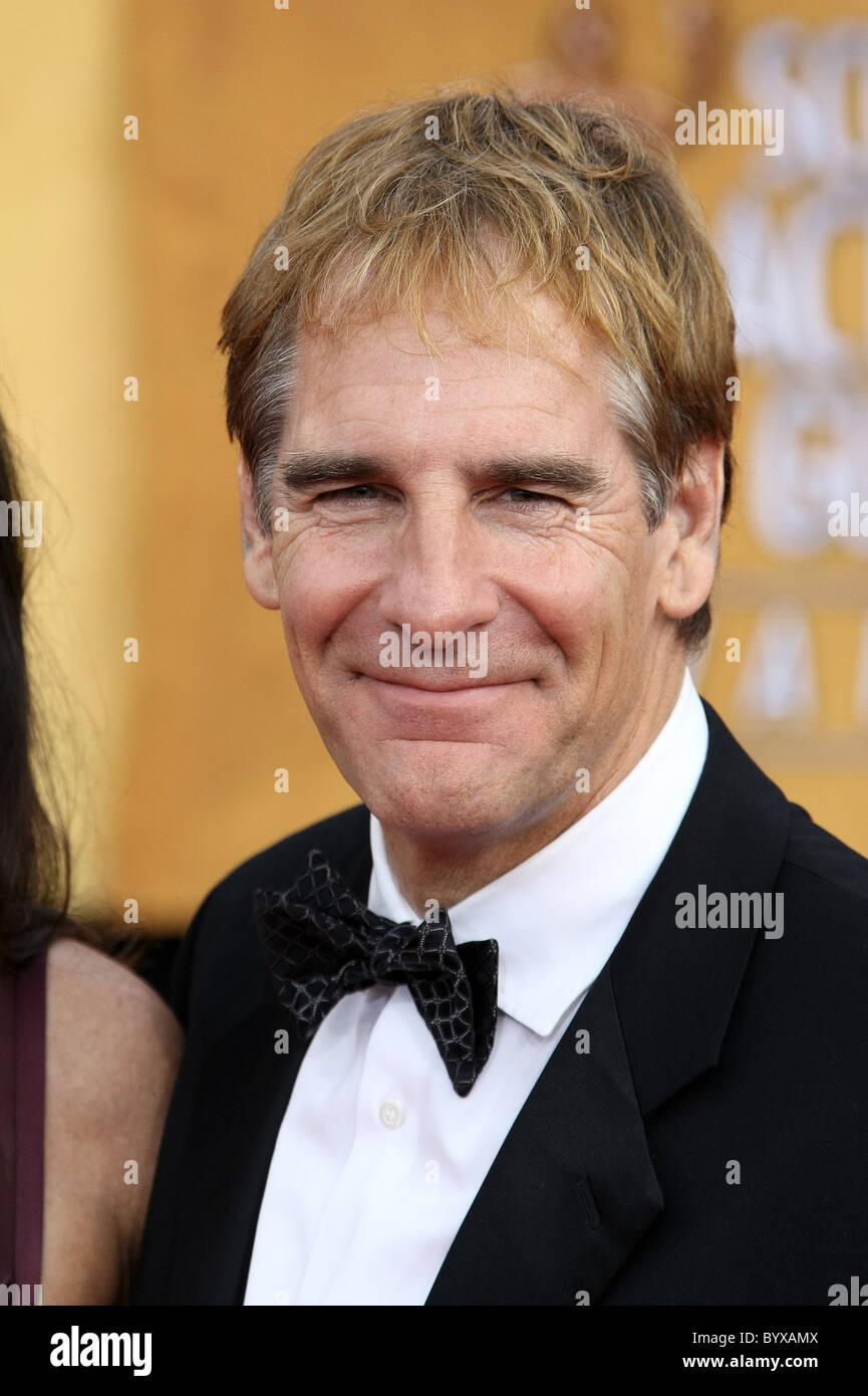 SCOTT BAKULA 17TH ANNUAL SCREEN ACTOR GUILD AWARDS ARRIVALS DOWNTOWN ...