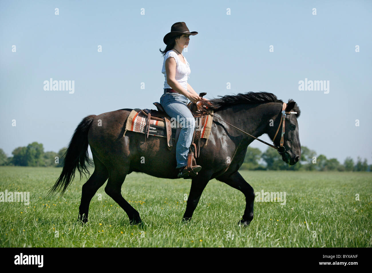 Horse riding rider western jog hi-res stock photography and images - Alamy