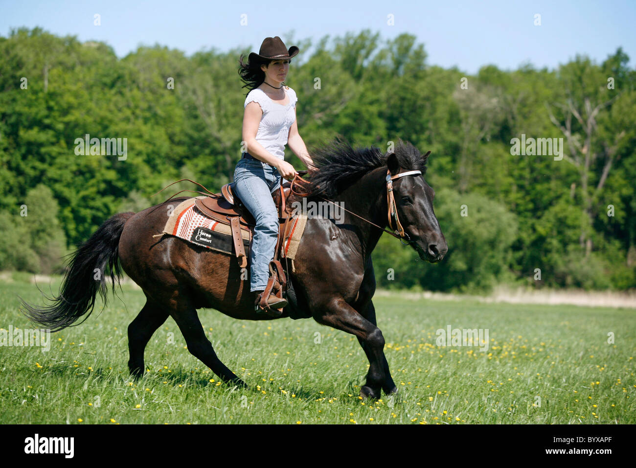 Westernreiter / western rider Stock Photo - Alamy