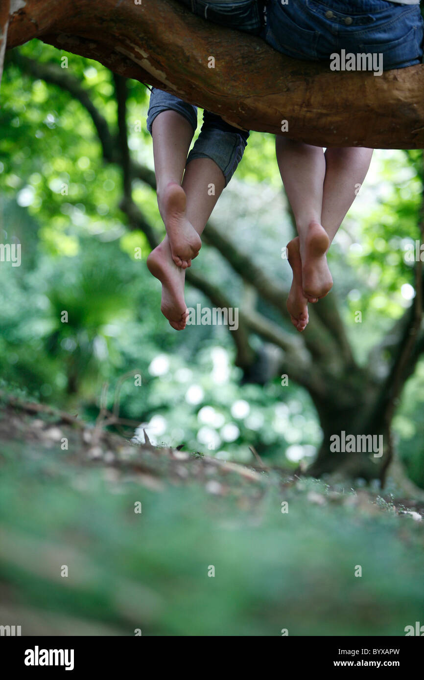 Two teenage girls sitting on a tree branch, legs dangling Stock Photo ...