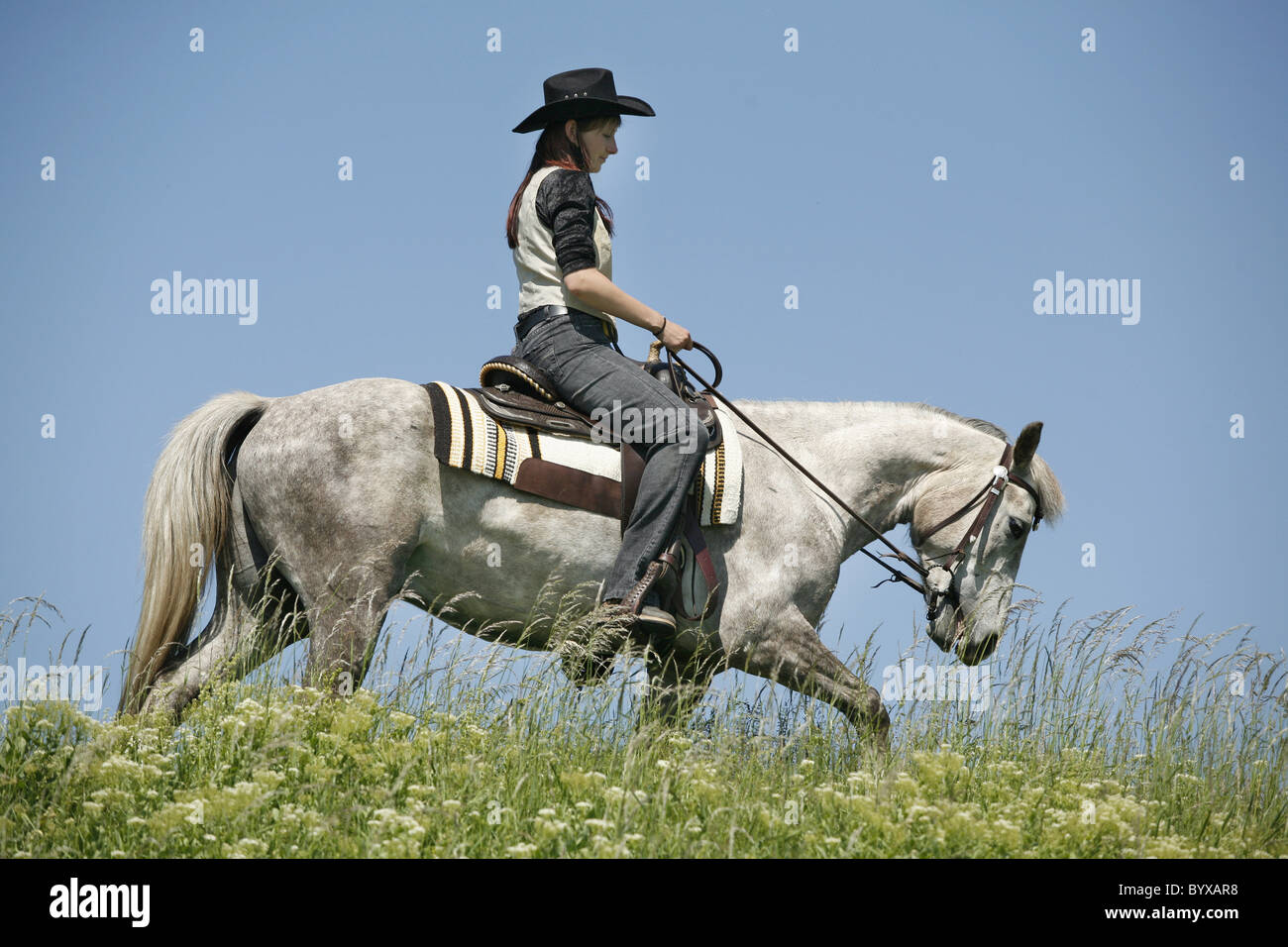 Westernreiter / western rider Stock Photo - Alamy