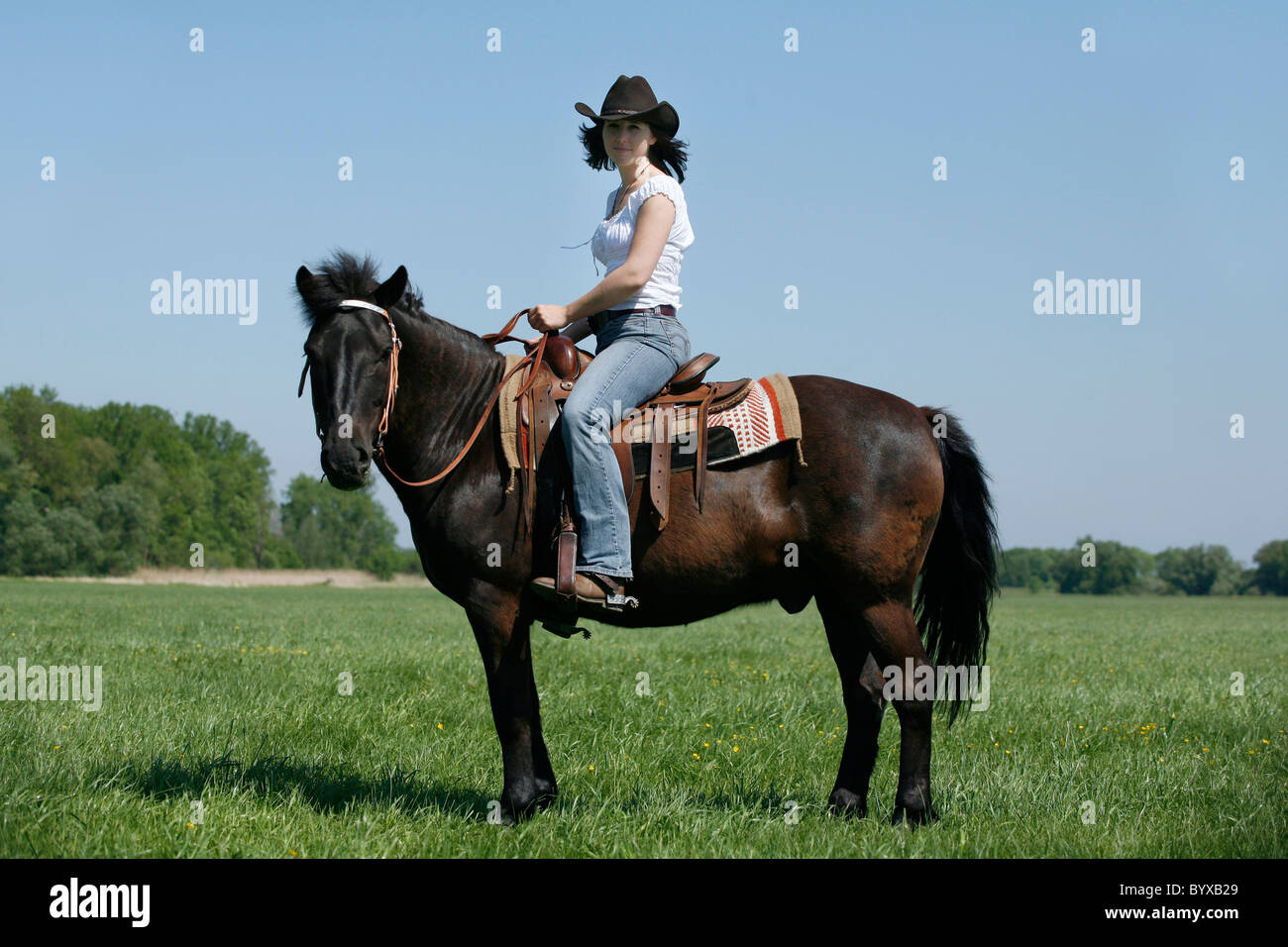 Westernreiter / western rider Stock Photo - Alamy
