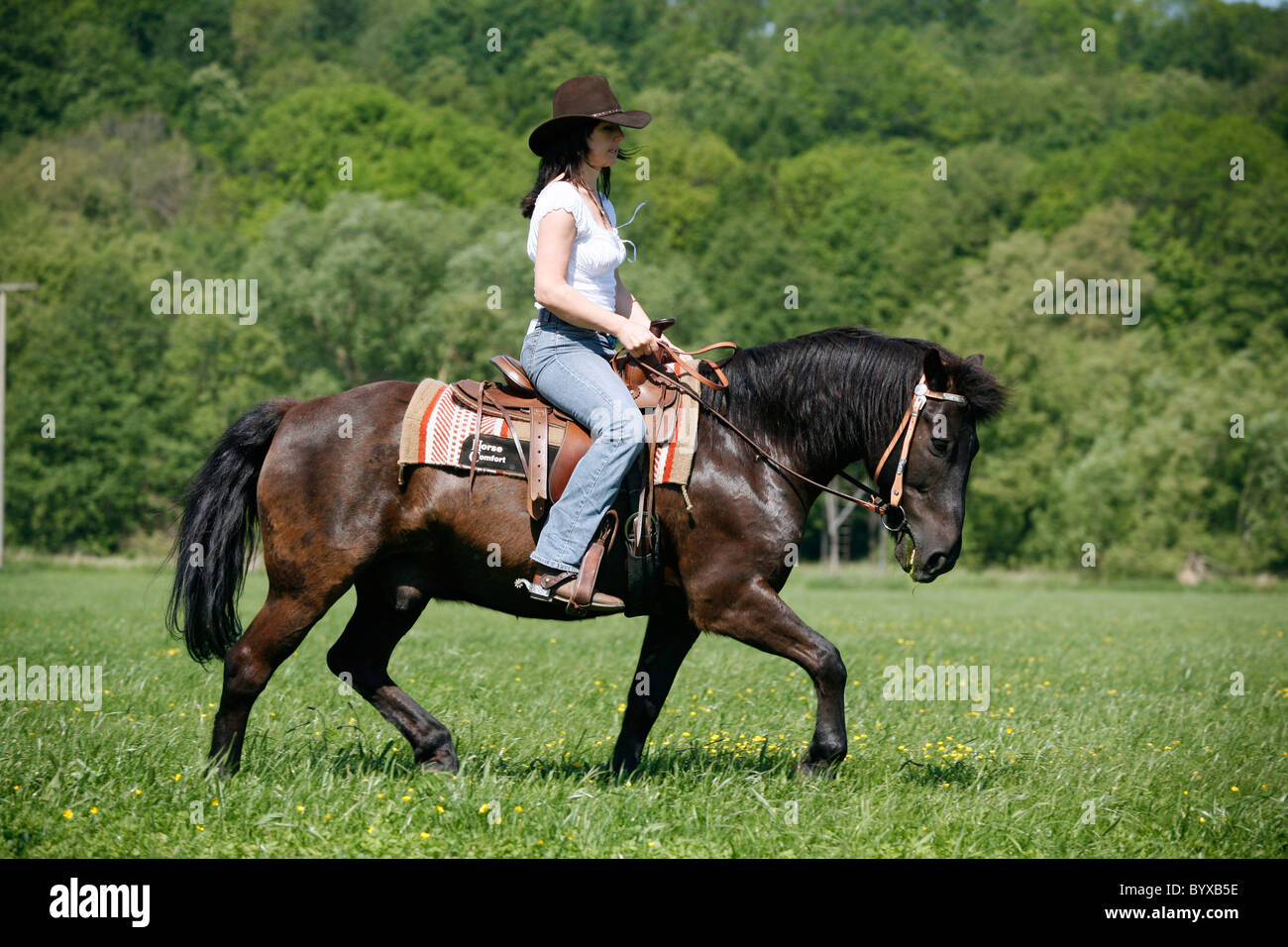 Westernreiter / western rider Stock Photo - Alamy