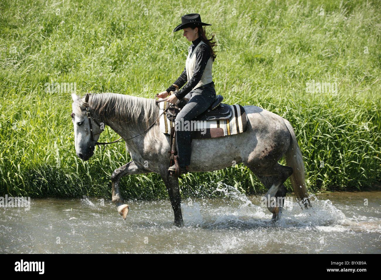 Westernreiter / western rider Stock Photo - Alamy