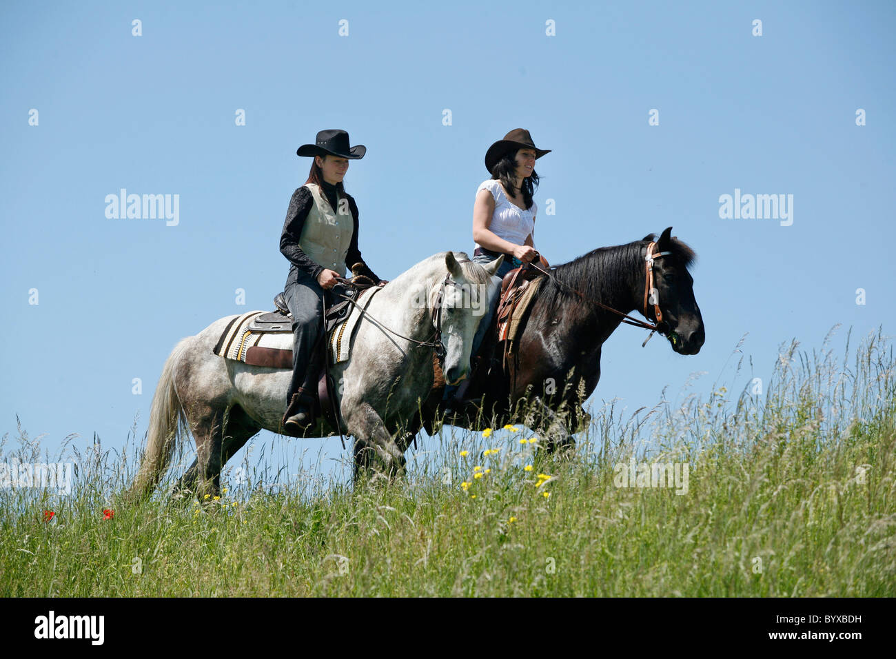 Westernreiter / western rider Stock Photo - Alamy