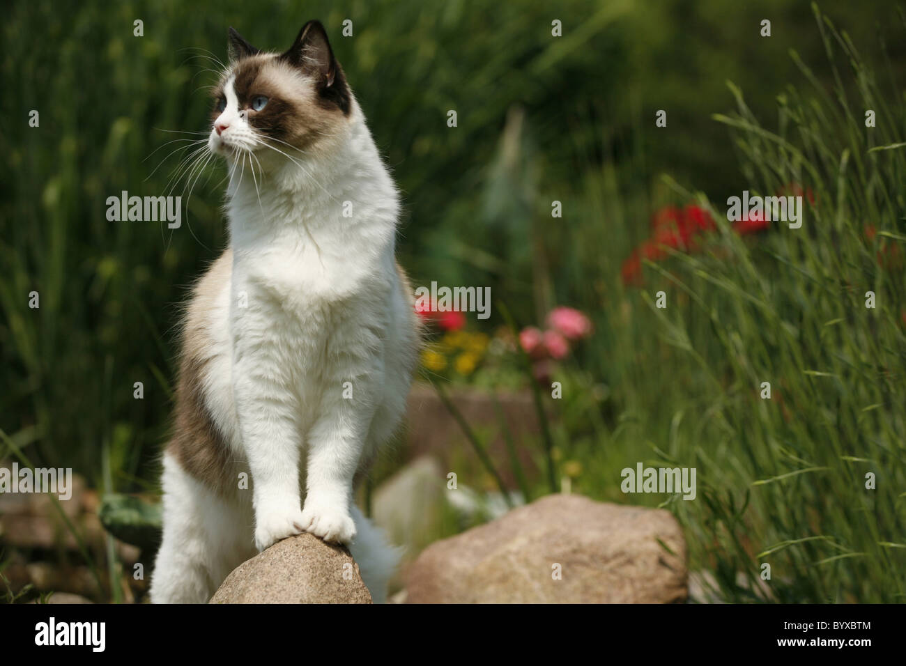 14160 hi-res stock photography and images - Alamy