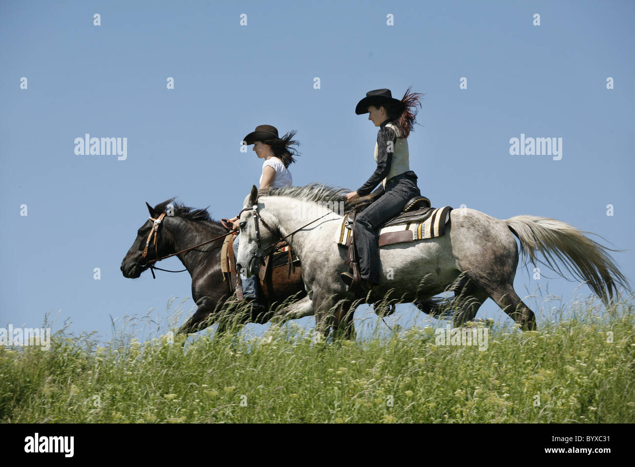 14152 hi-res stock photography and images - Alamy