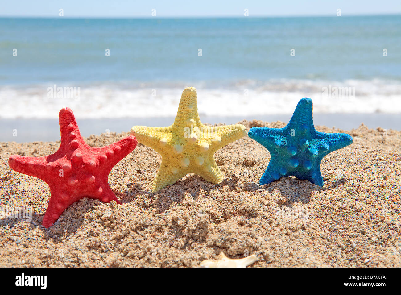 colorful starfish shells on the beach in closeup near the ocean Stock ...