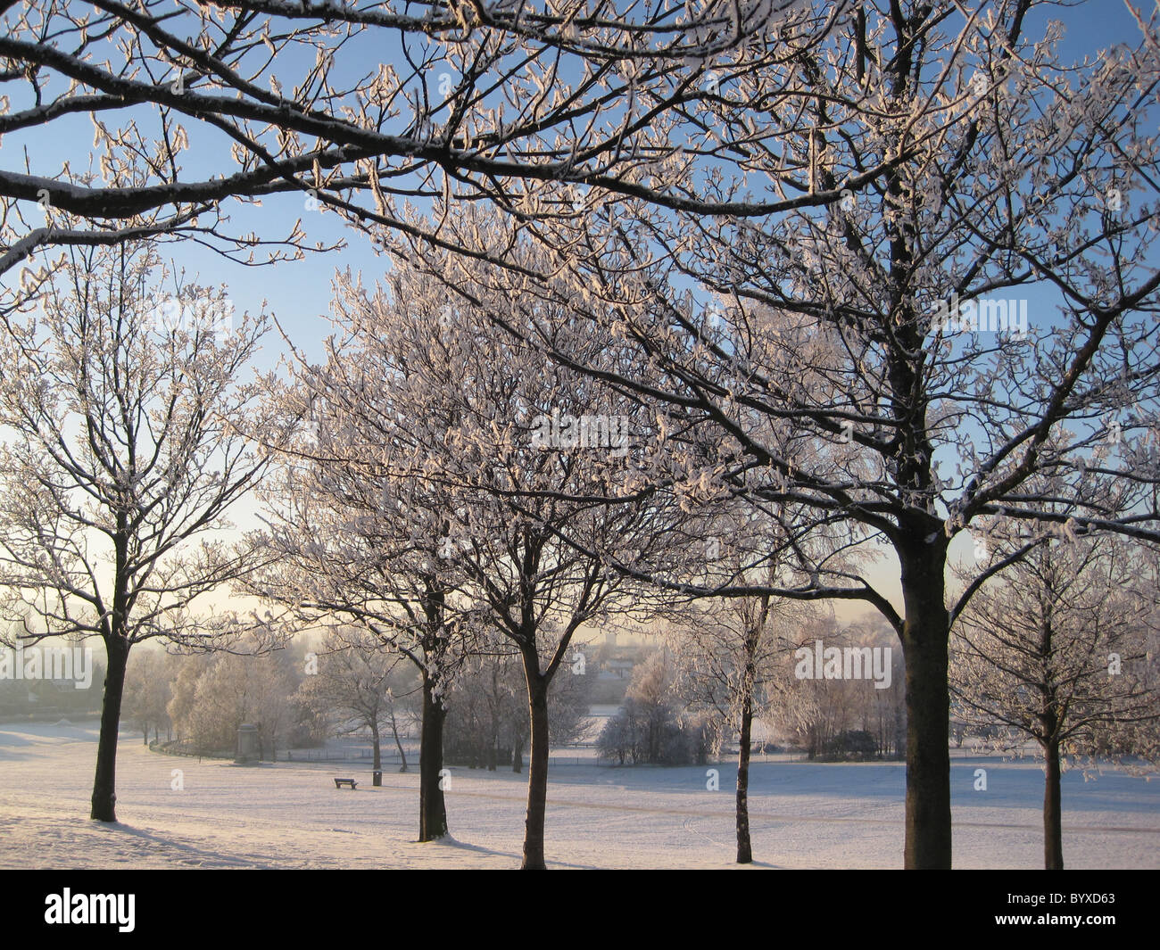 Paisley park hi-res stock photography and images - Alamy