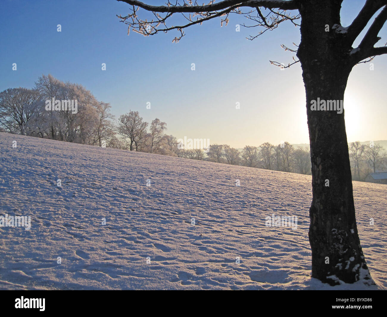 Snow scene at Barshaw Park, Paisley, Scotland Stock Photo - Alamy