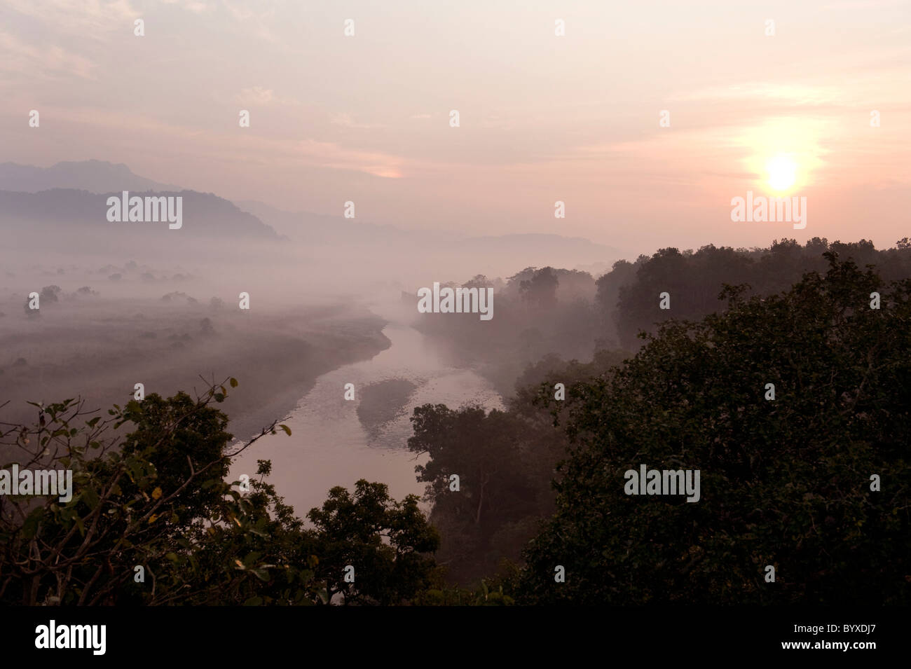 River and view at misty Morning Sunrise Corbett Stock Photo - Alamy