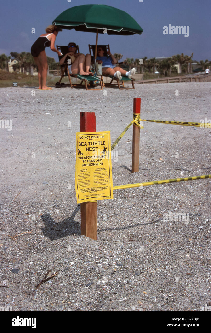 designated sea turtle protected nesting area along beach at Amelia ...