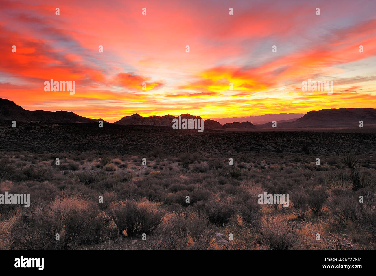 Red rock canyon nevada hi-res stock photography and images - Alamy