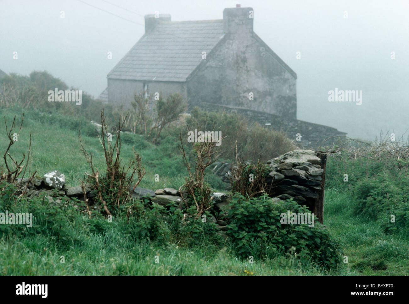 A farmhouse on the Dingle Peninsula Stock Photo - Alamy