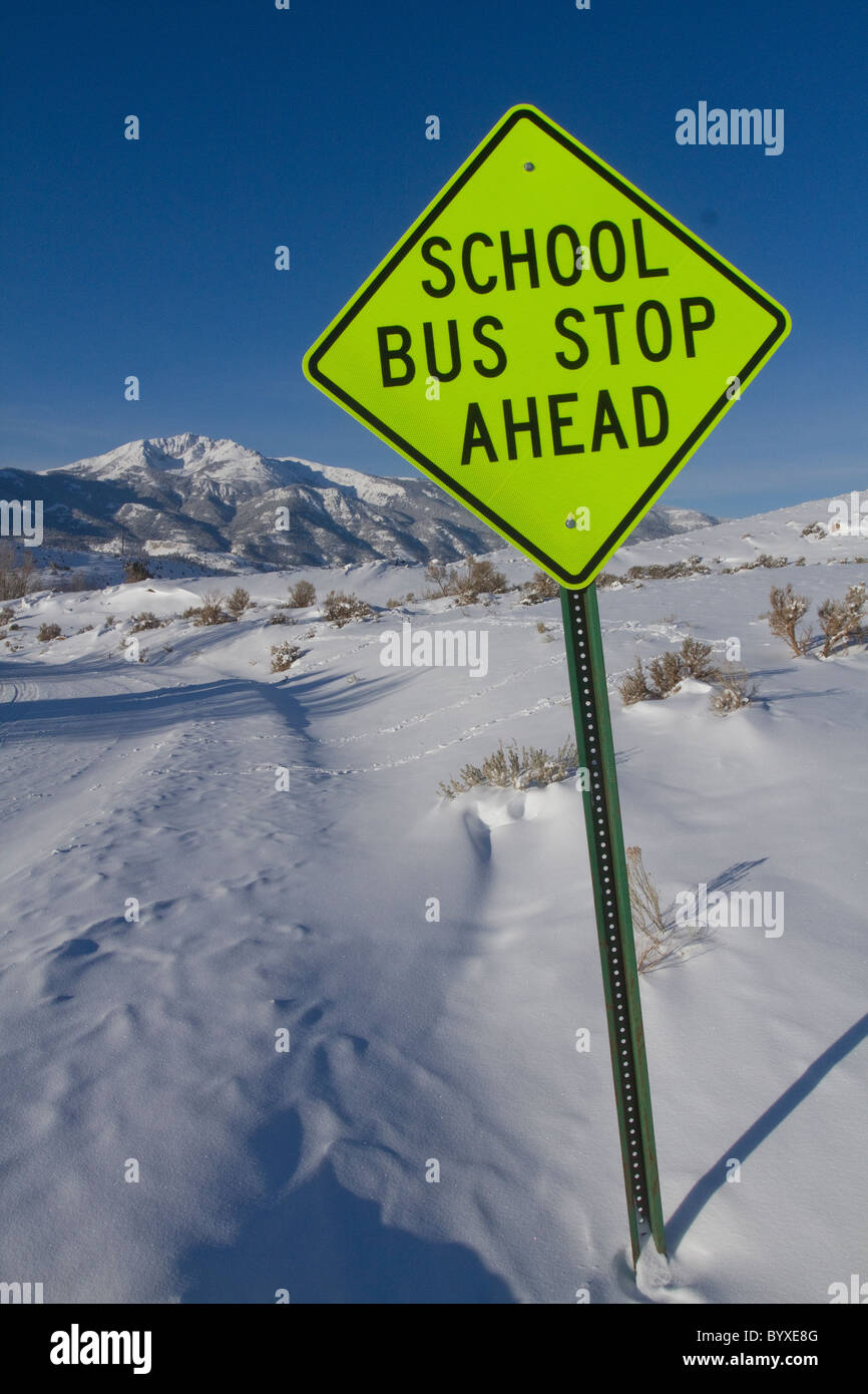 School Bus Stop Ahead Sign