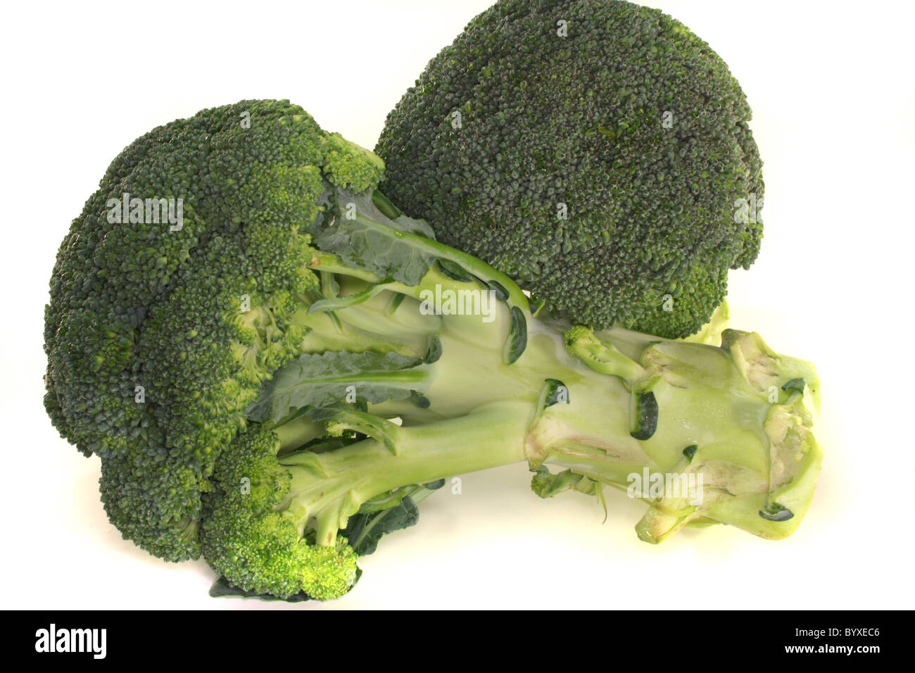 two green heads of broccoli on a white background Stock Photo - Alamy