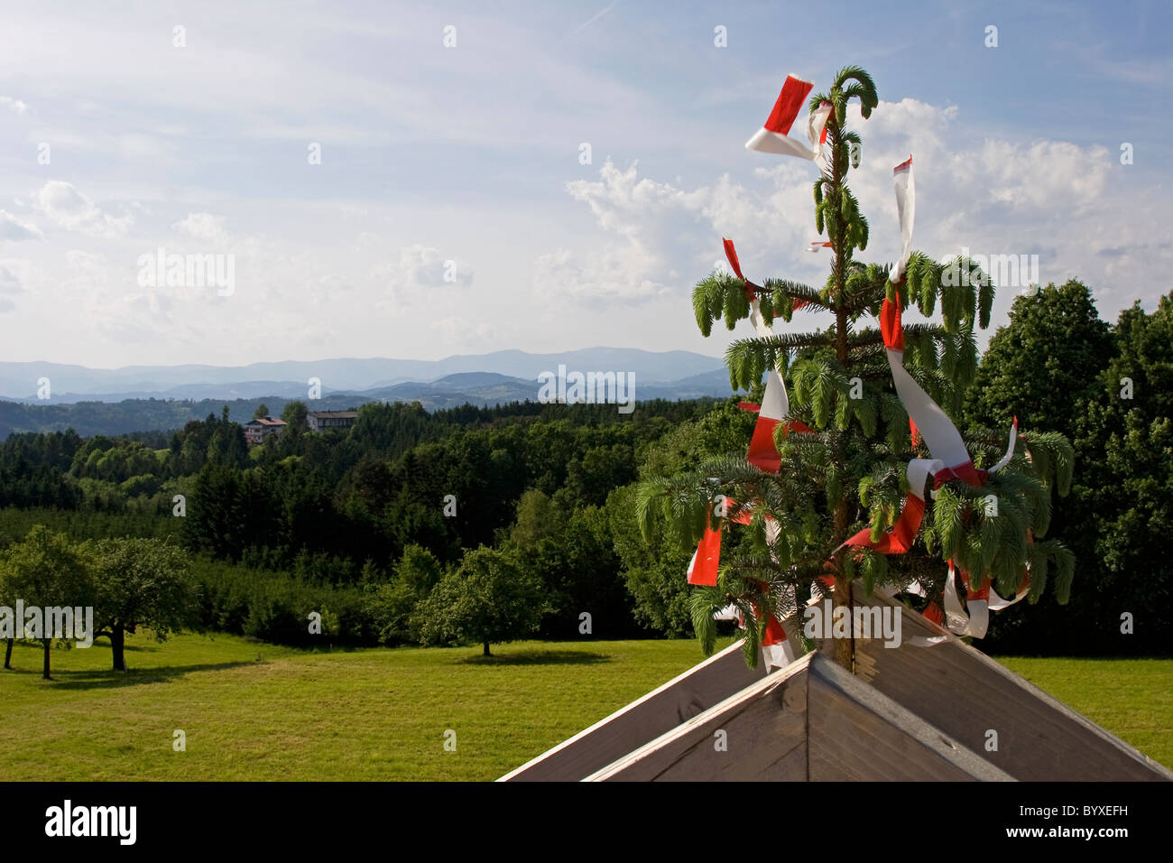 Topping out ceremony hi-res stock photography and images - Alamy