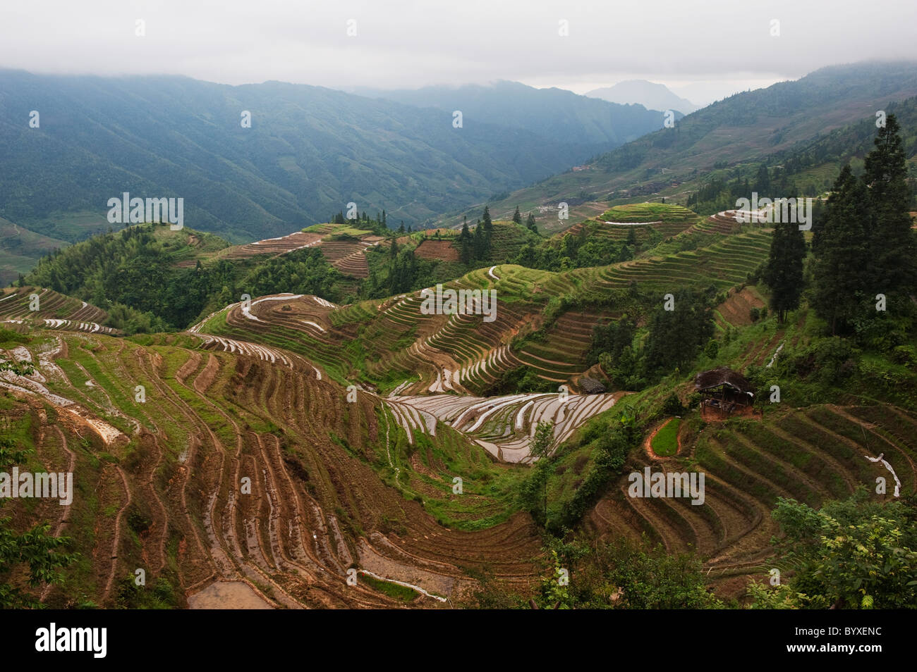 Crops days farms fields hi-res stock photography and images - Alamy