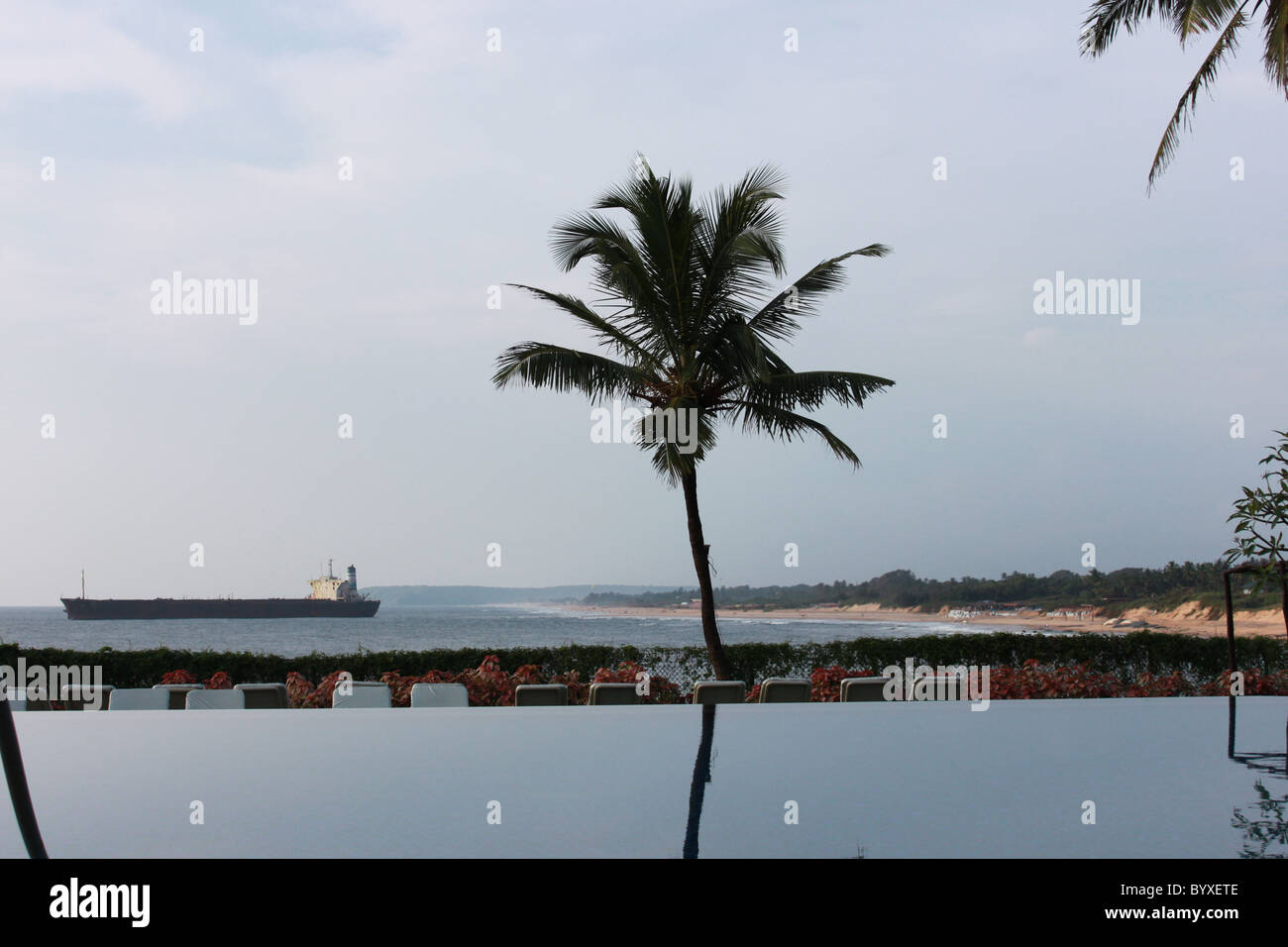Coconut tree, pool sea, ship & sky Stock Photo - Alamy