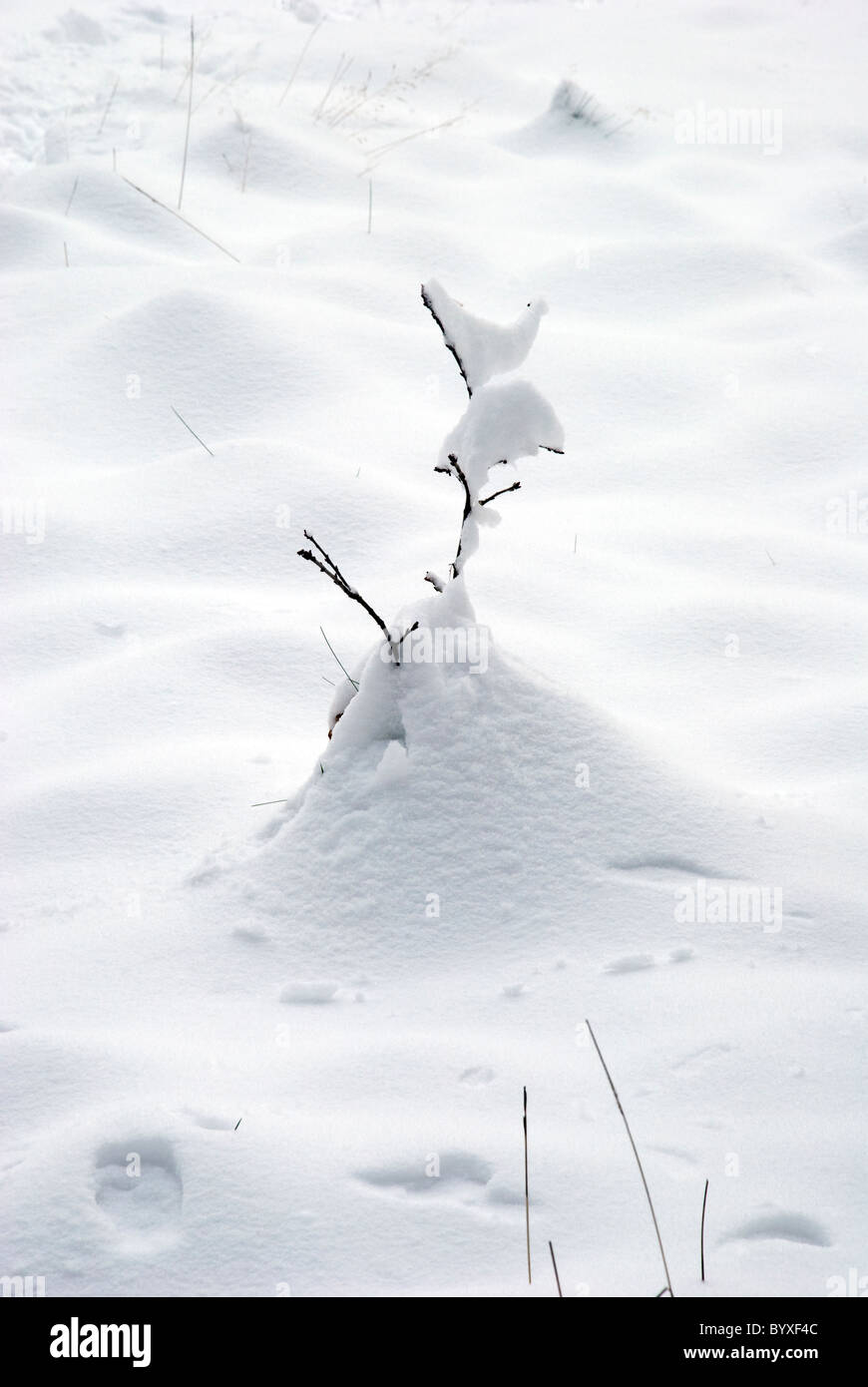 snow on the ground Stock Photo - Alamy