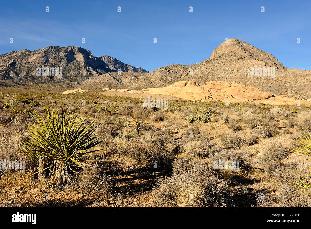 Nevada canyon red rock hi-res stock photography and images - Alamy