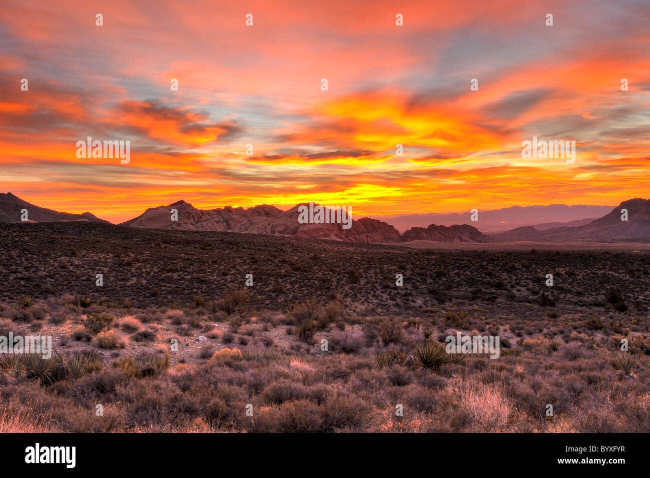 Red rock canyon landscape hi-res stock photography and images - Alamy