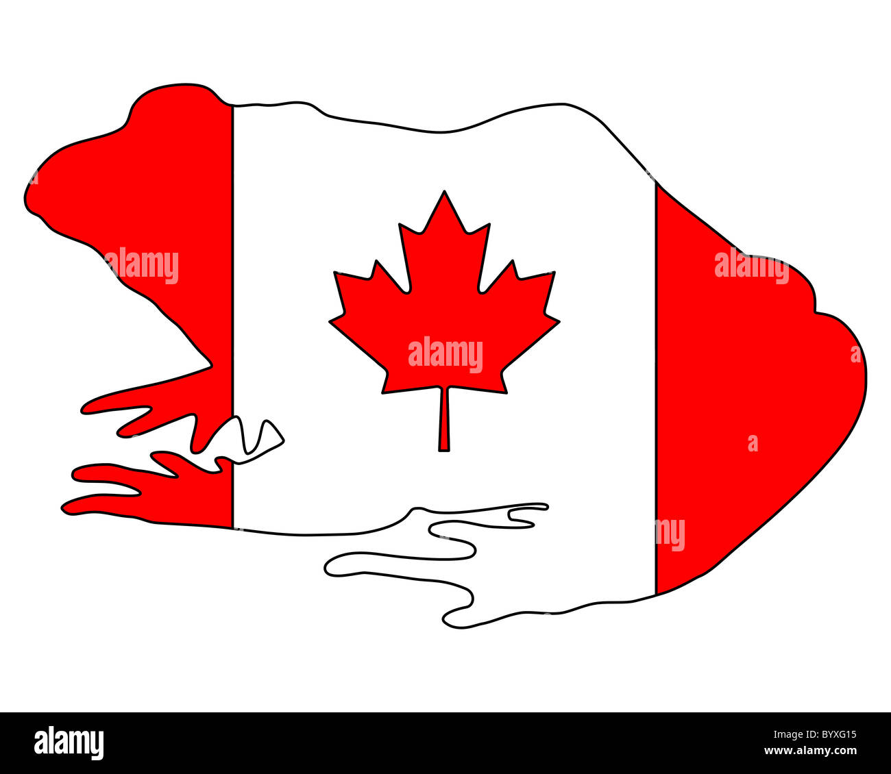 Bullfrog canada Cut Out Stock Images & Pictures - Alamy