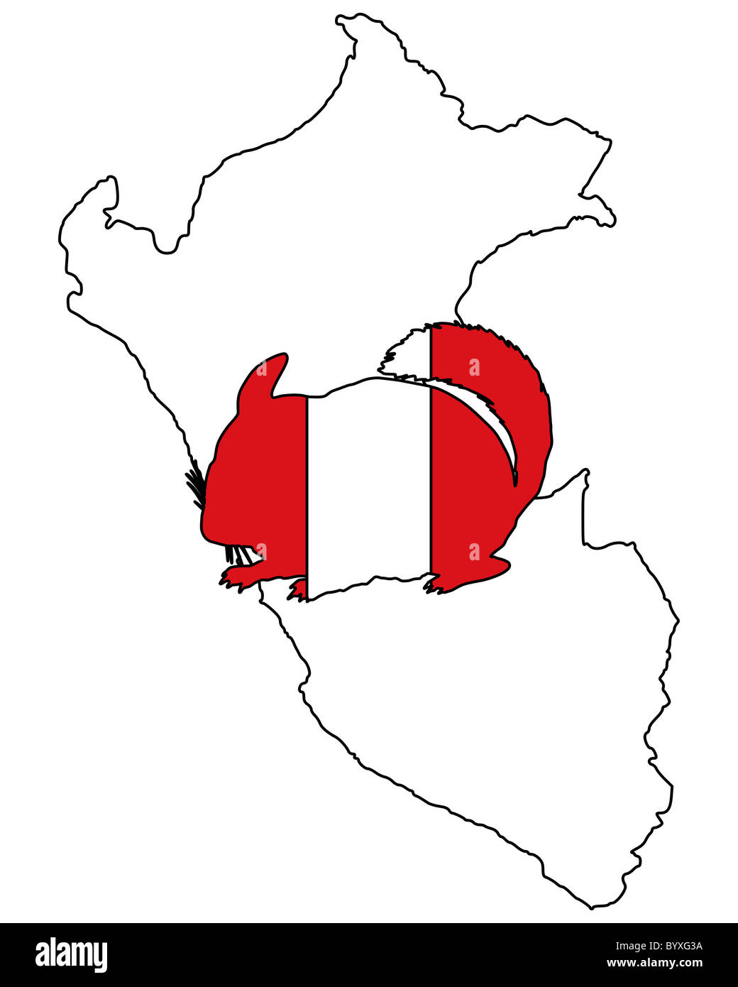 Peru chinchilla hi-res stock photography and images - Alamy