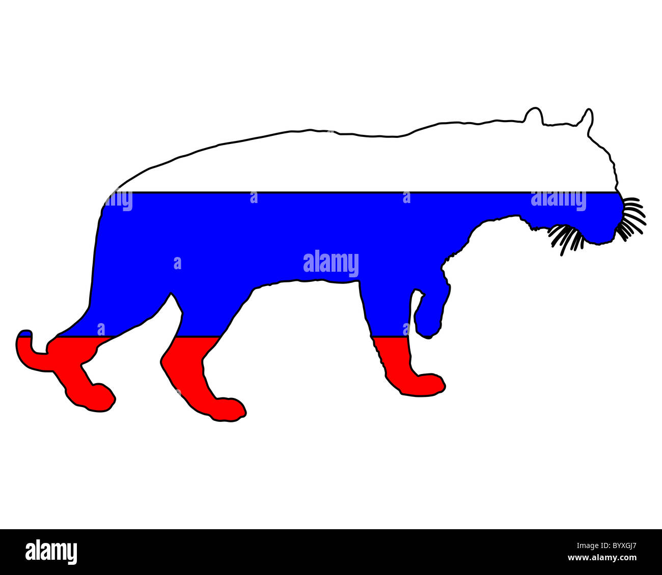 Tiger illustration russia Cut Out Stock Images & Pictures - Alamy