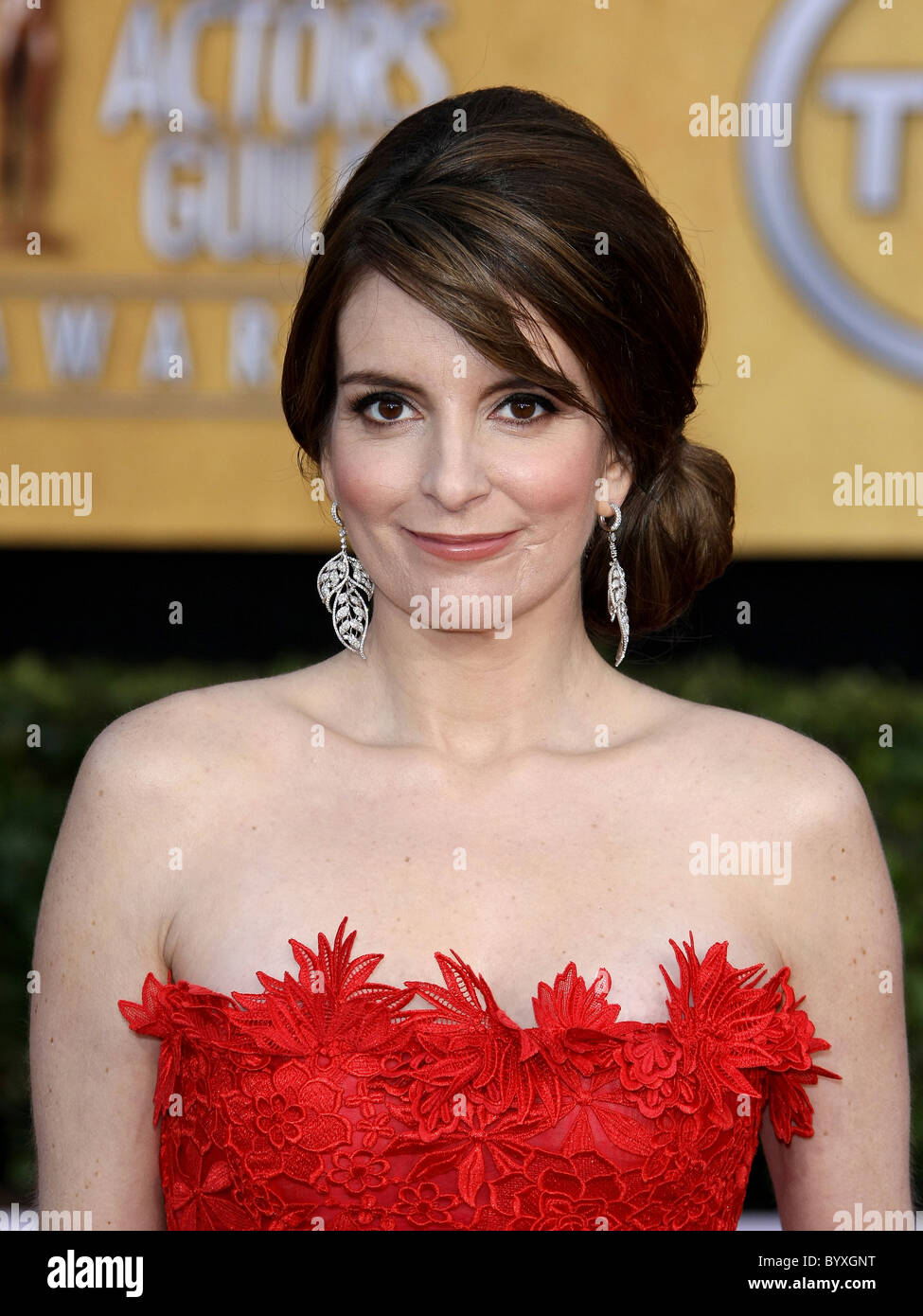 TINA FEY 17TH ANNUAL SCREEN ACTOR GUILD AWARDS ARRIVALS DOWNTOWN LOS ...