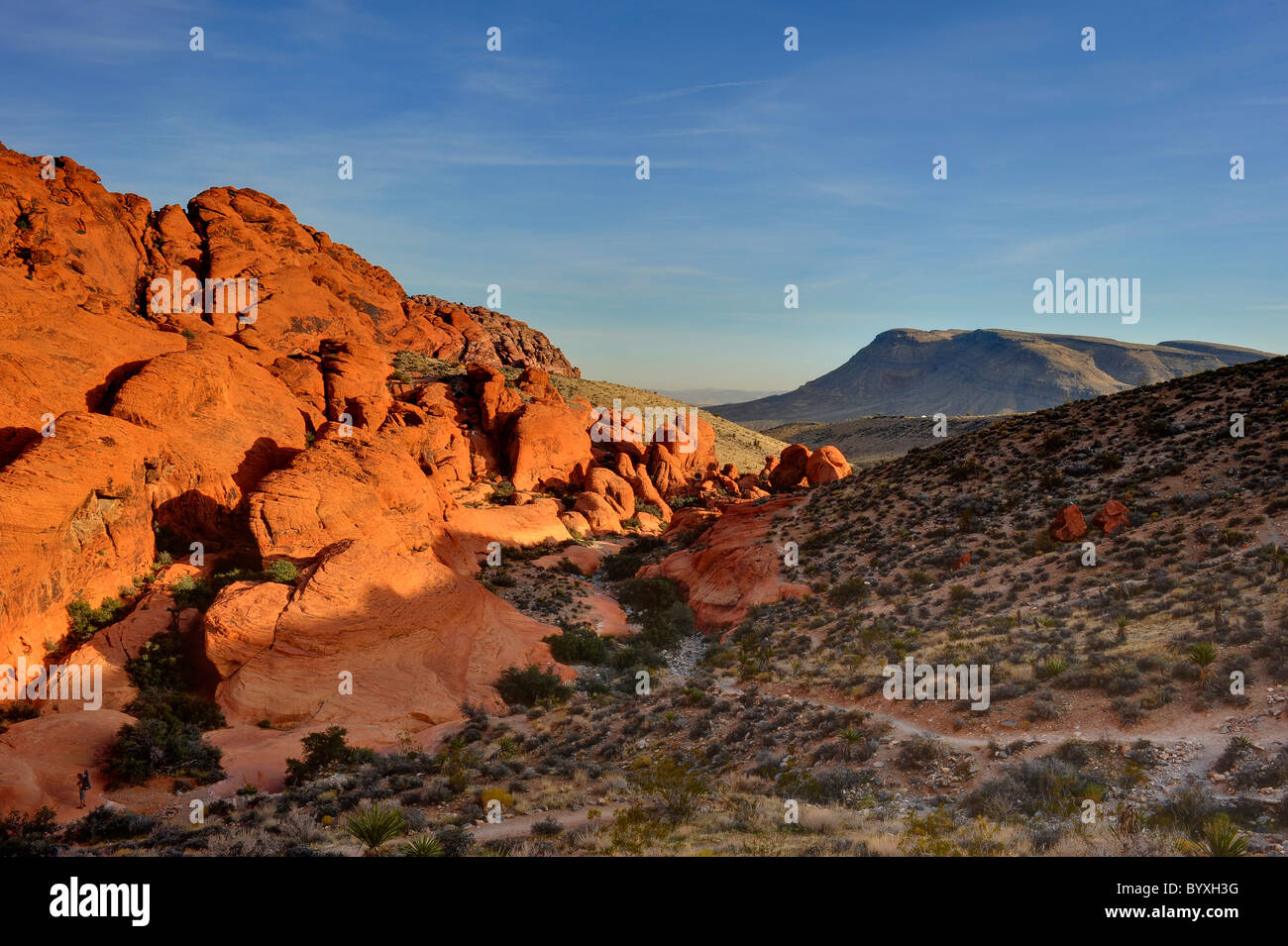 Red Rock Canyon, Nevada, USA Stock Photo - Alamy