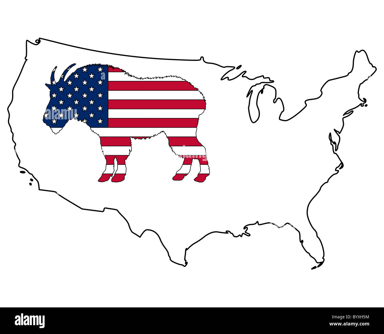 Mountain goat USA Stock Photo - Alamy