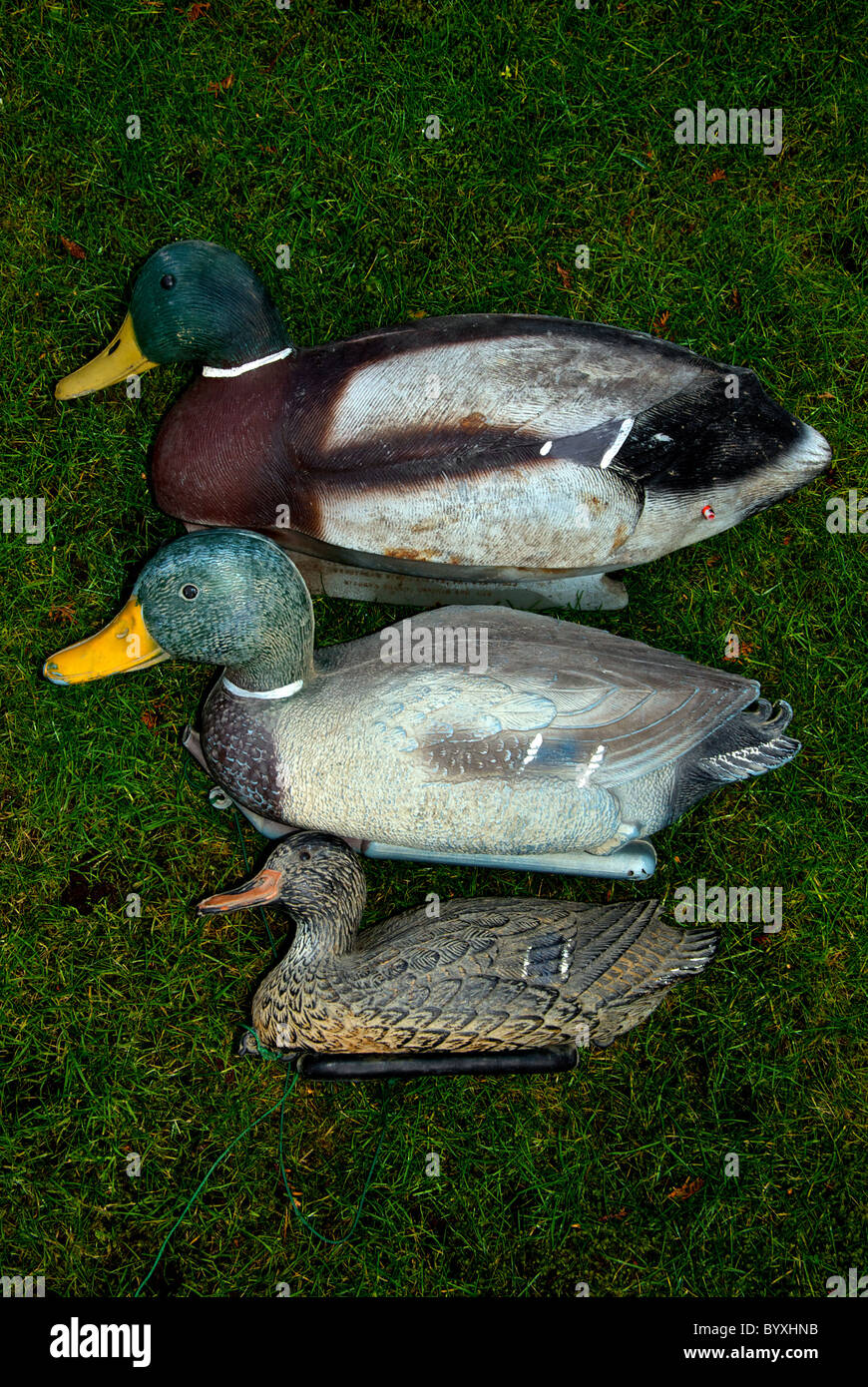 Injection molded regular, light super magnum, heavy inflatable rubber ...