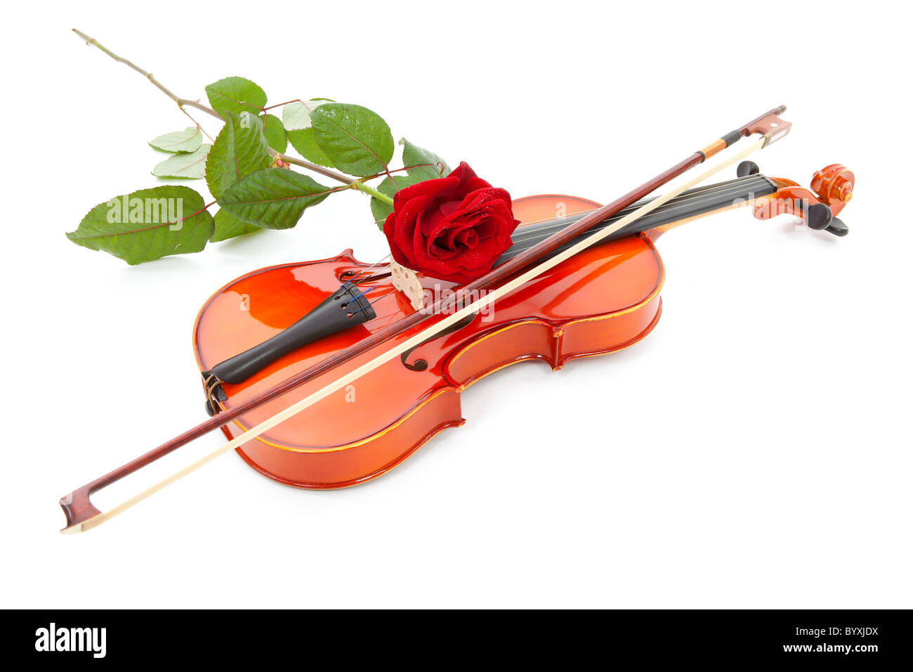 violin and red rose isolated on white background Stock Photo - Alamy