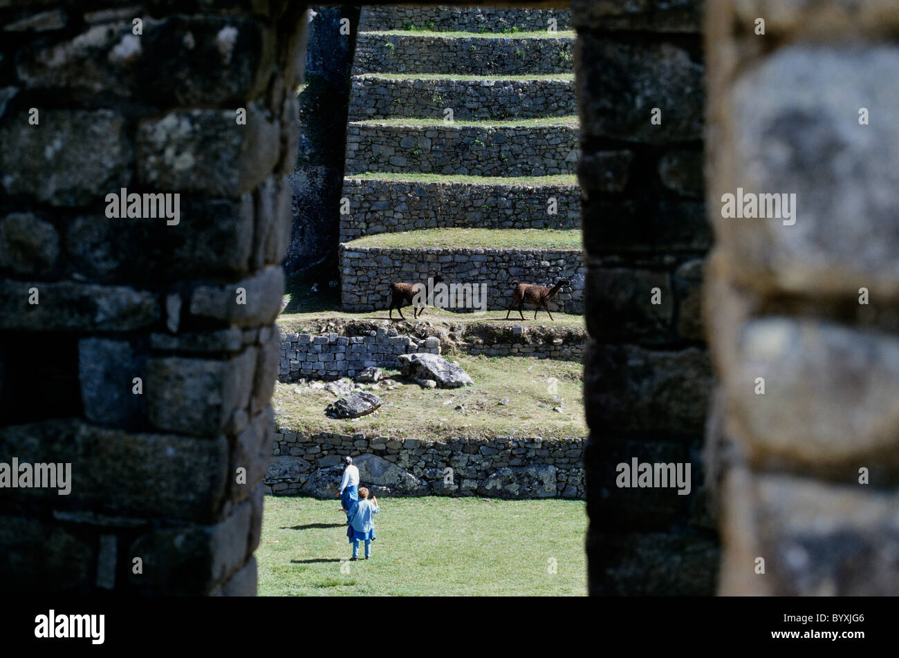 Incan terraces surrounding the Sacred Plaza in the UNESCO World ...