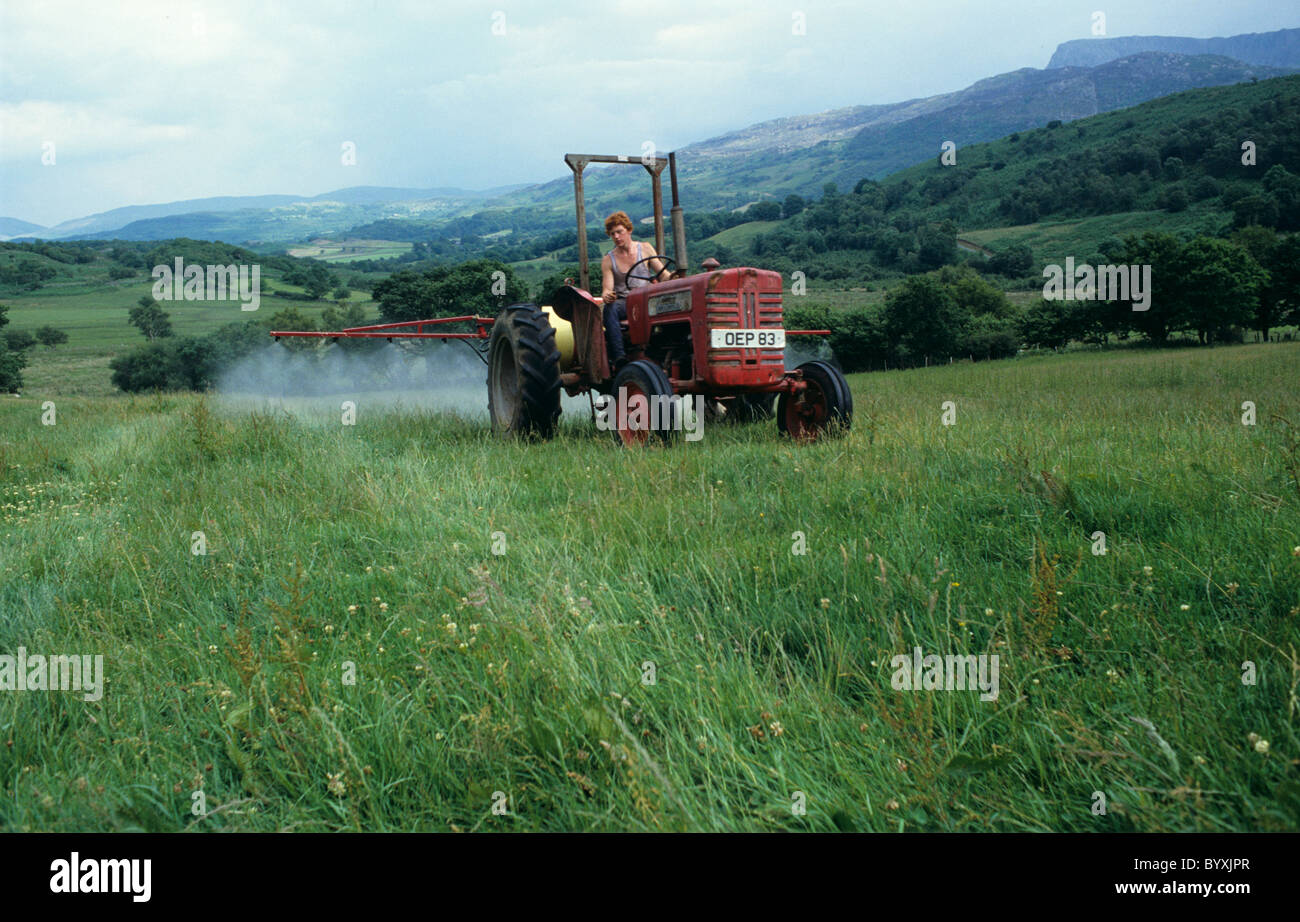 Old tractor and sprayer spraying off grassland with herbicide before ...