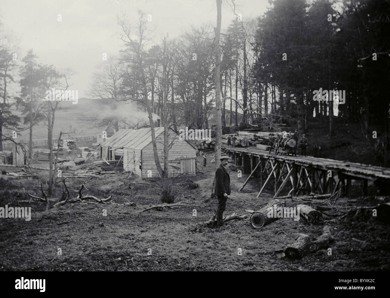 Sawmill workers hi-res stock photography and images - Alamy