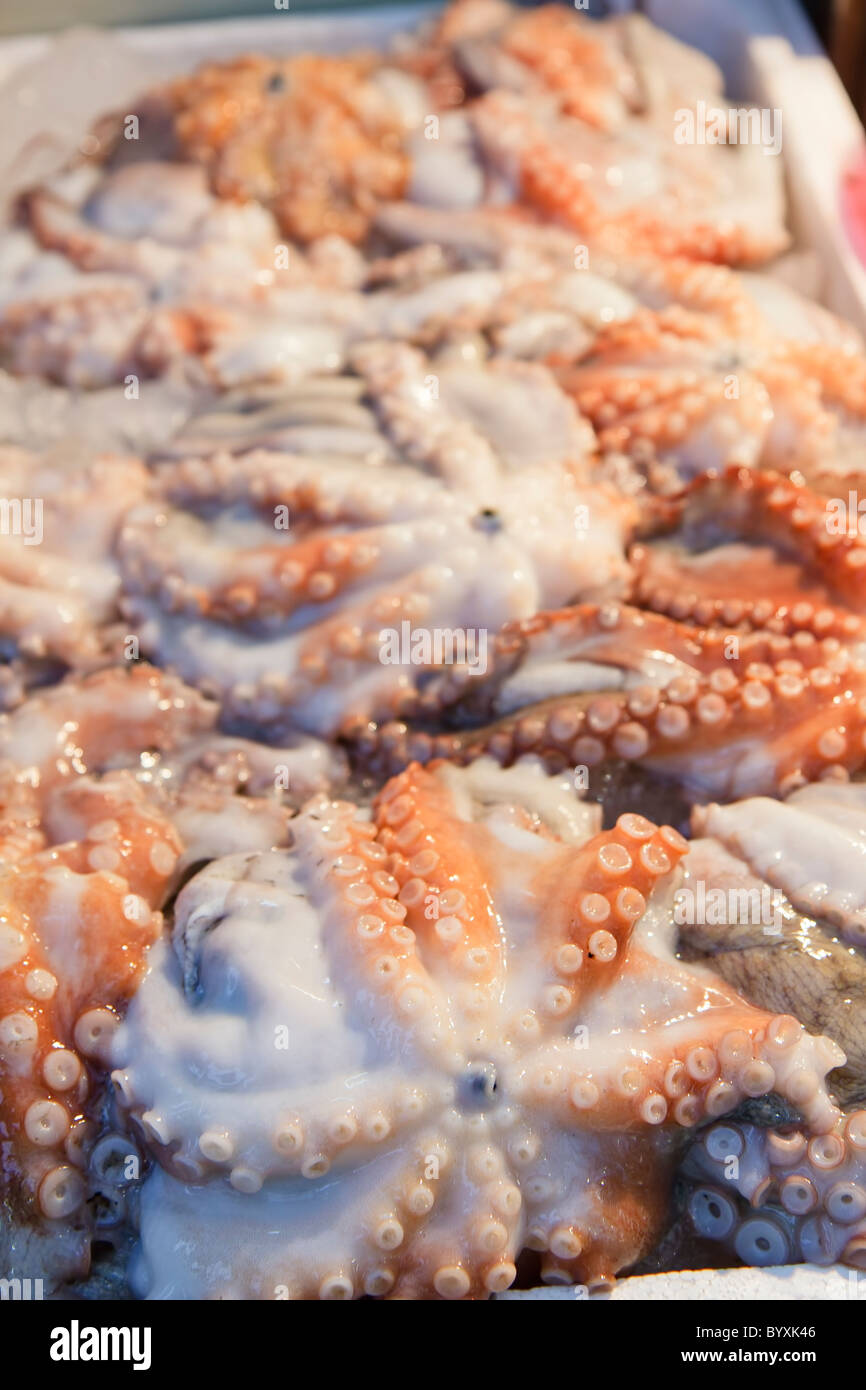 Octopi displayed for sale Stock Photo - Alamy