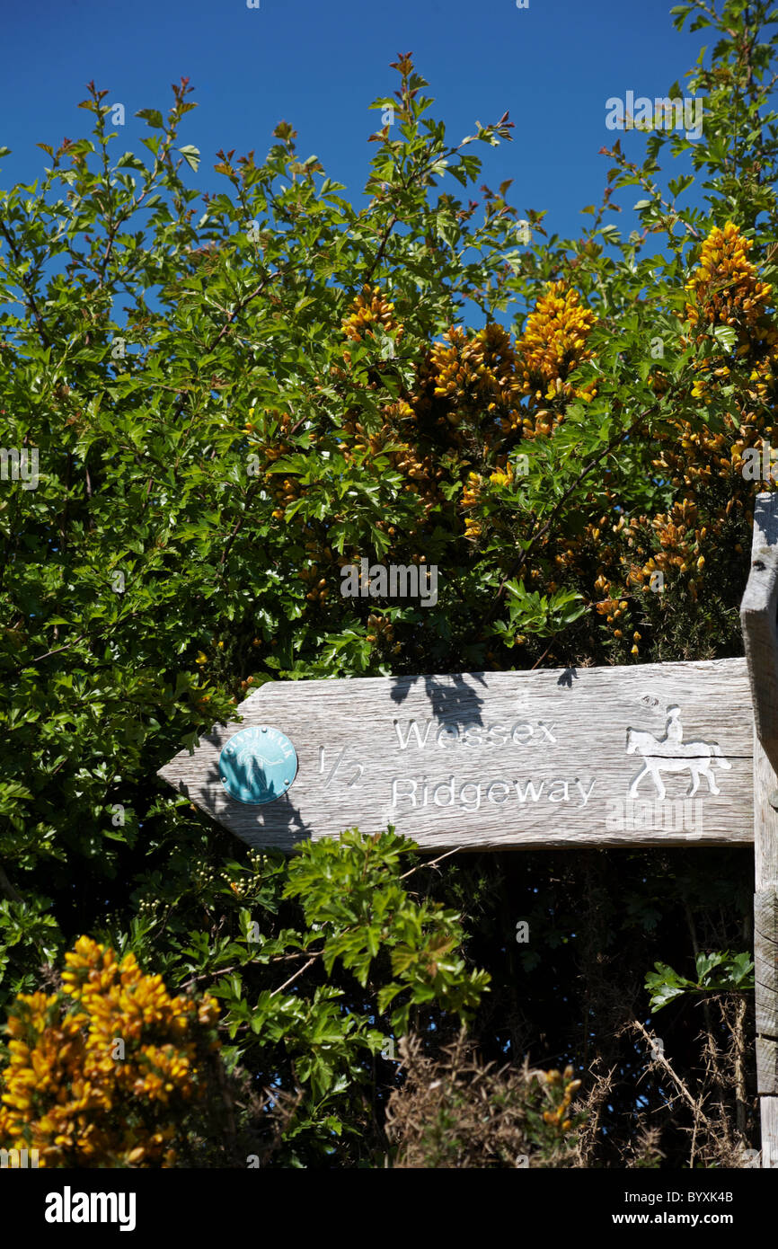 Giant walk sign showing half a mile to Wessex Ridgeway Stock Photo - Alamy