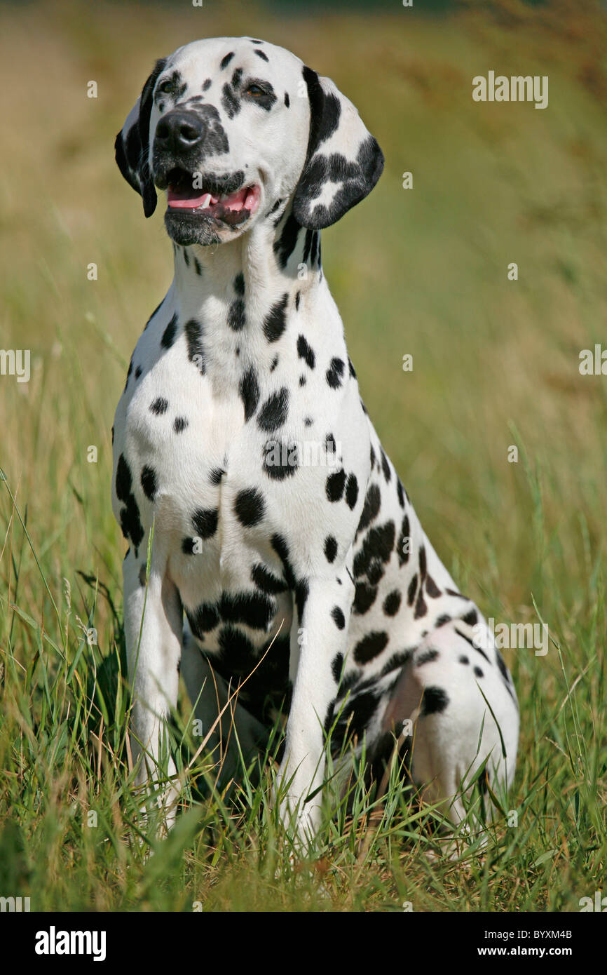 14940 hi-res stock photography and images - Alamy