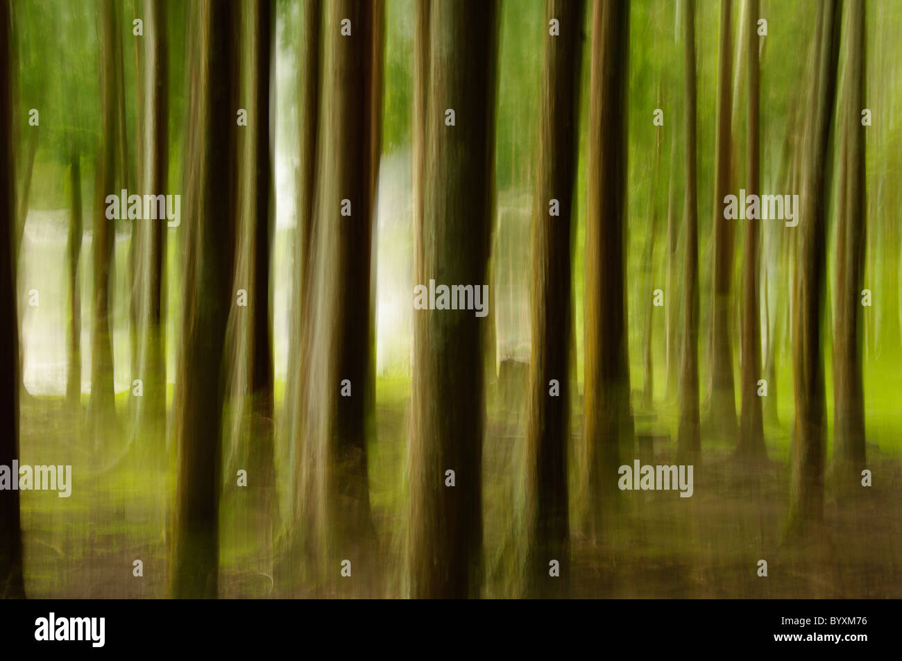 Vertical pattern hi-res stock photography and images - Alamy