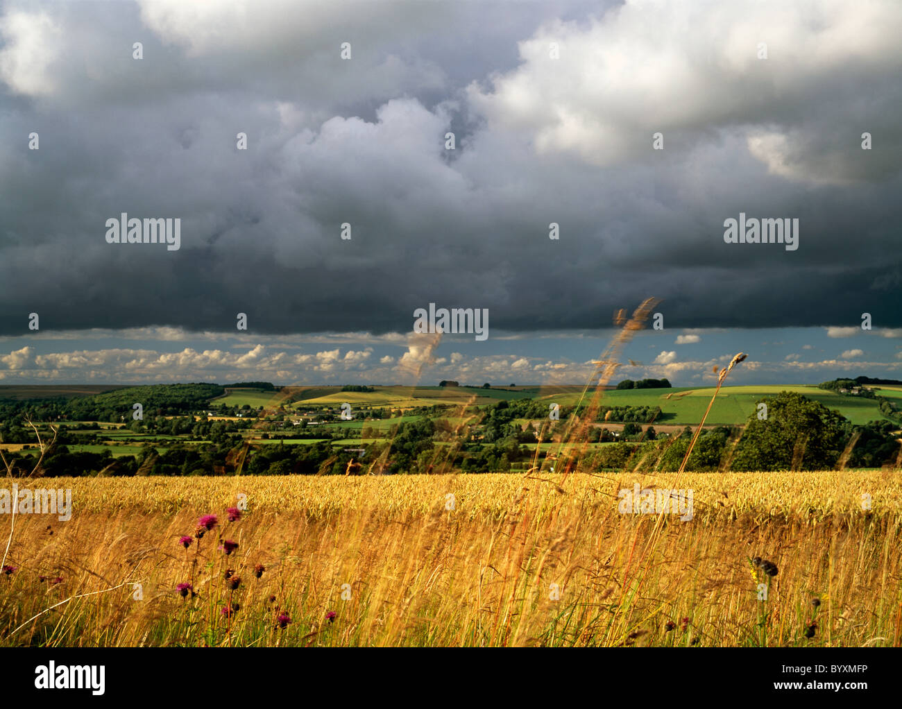 A view of the Wylye Valley in Wiltshire, England, taken from the Wessex ...