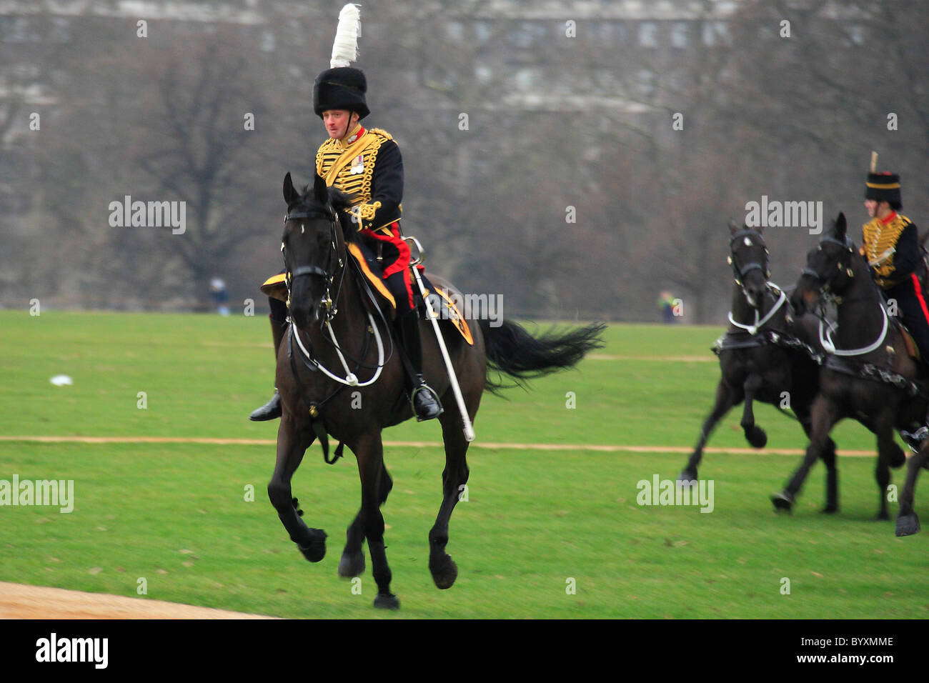 Cavalry horse at the gallop Stock Photo - Alamy