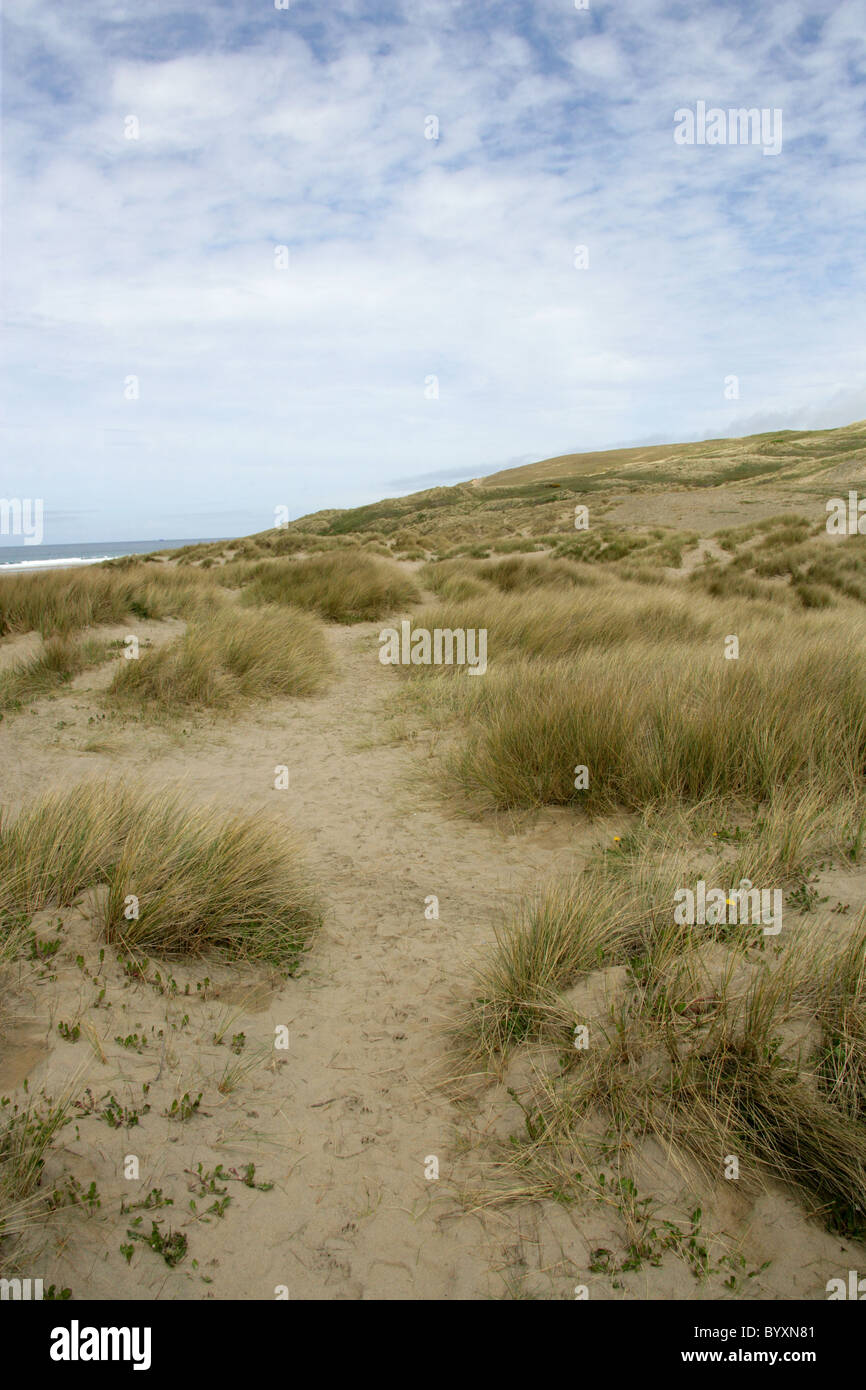 Sand Dunes at Perranporth, North Cornwall Coast, Britain, UK Stock ...