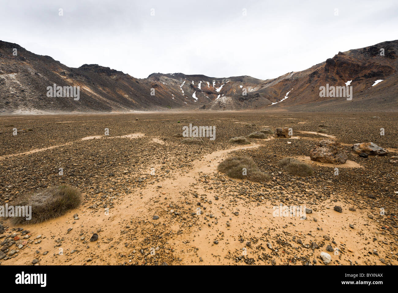 South Crater of Mt. Tongariro, in Tongariro National Park, New Zealand ...