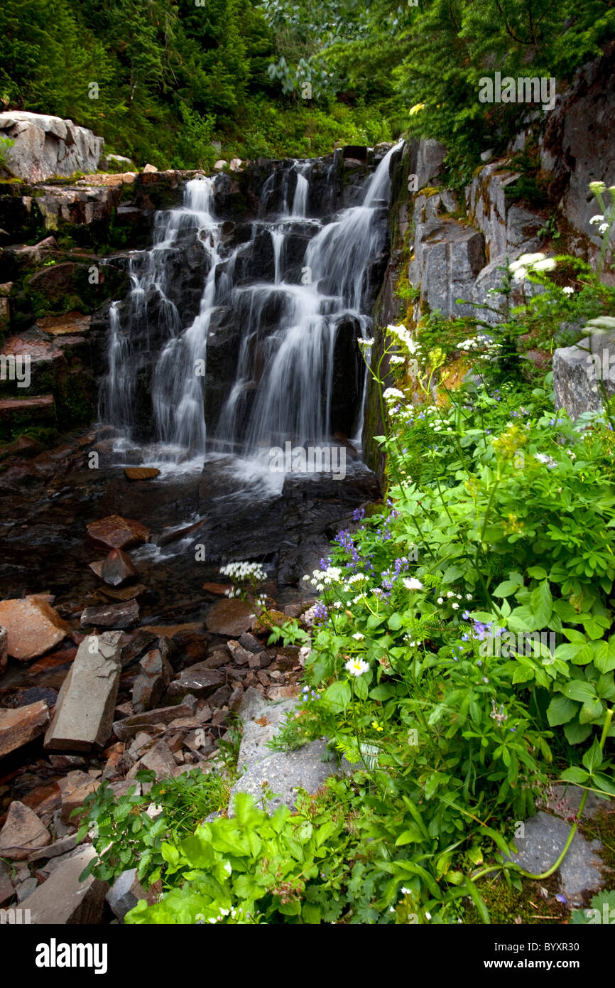 The tranquility of a waterfall is meditative to the soul Stock Photo ...