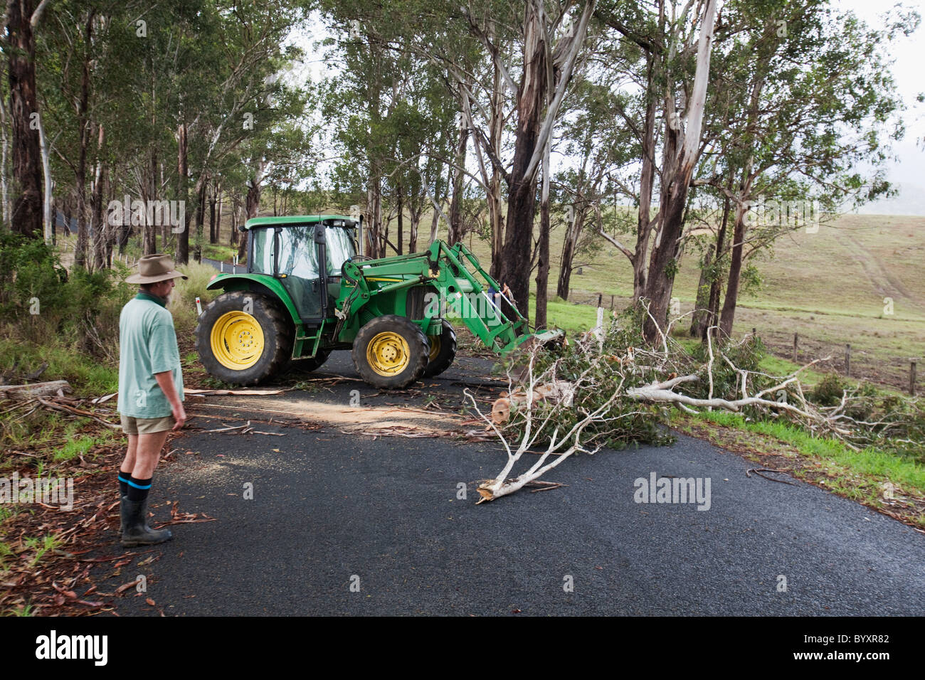 a tractor removing debris from fallen tree branches on the road in ...